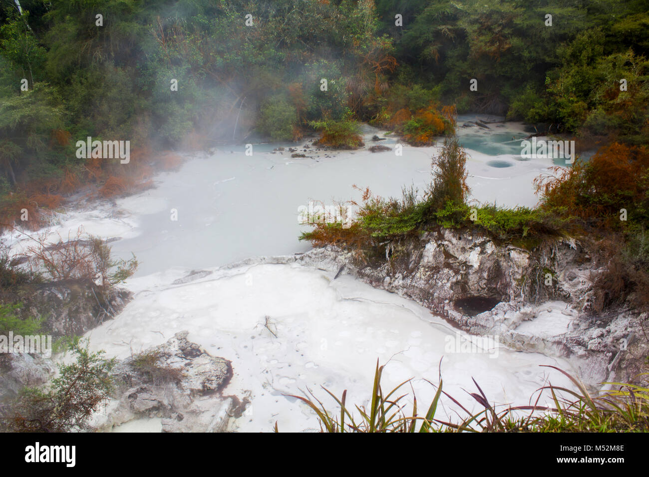 Blue hot springs, hot pool, Orakei Korako Geothermal Park, New Zealand ...