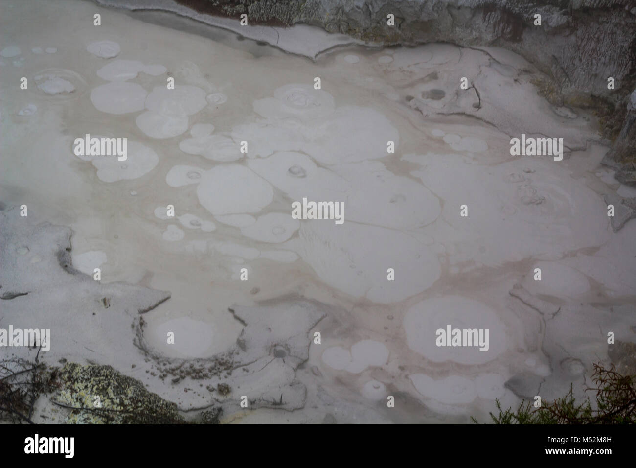Boiling Mud Pools Stock Photo - Alamy