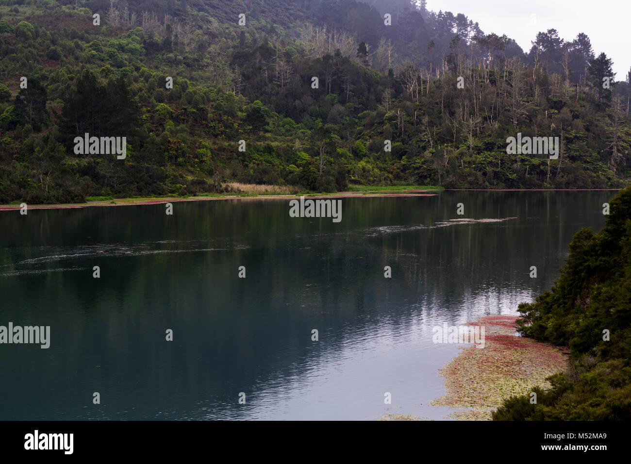 New Zealand Waikato river landscape Stock Photo - Alamy
