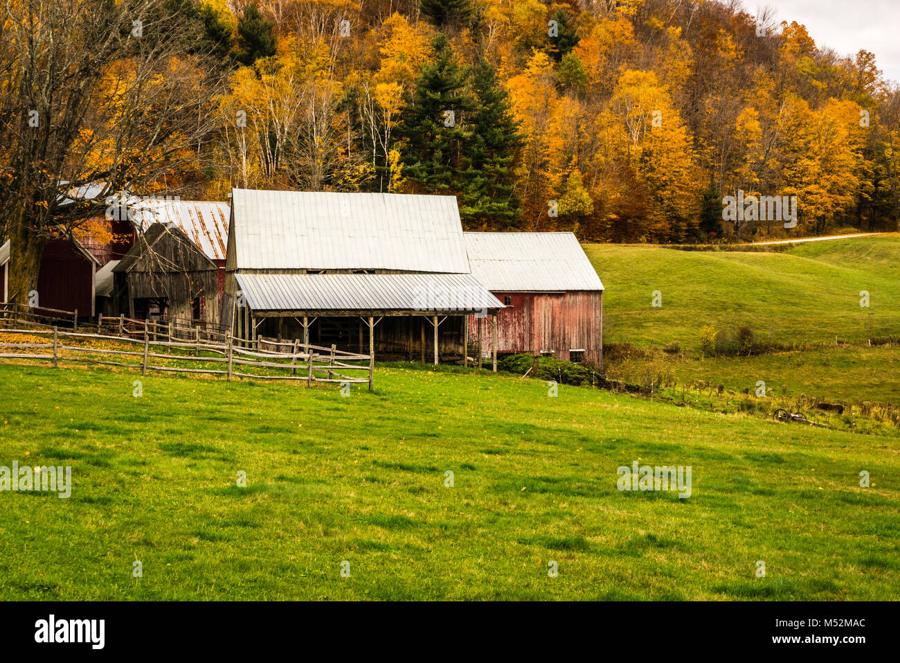 Reading vt vermont hi-res stock photography and images - Alamy