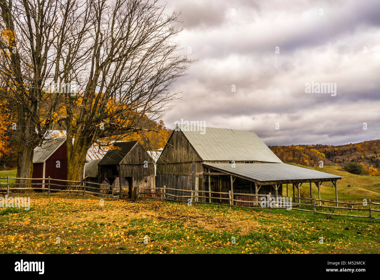 Jenne Farm Reading, Vermont, USA Stock Photo - Alamy