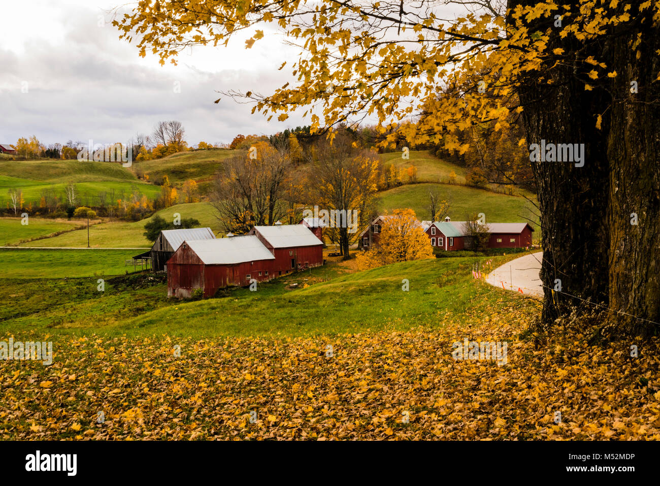 Jenne Farm Reading, Vermont, USA Stock Photo - Alamy