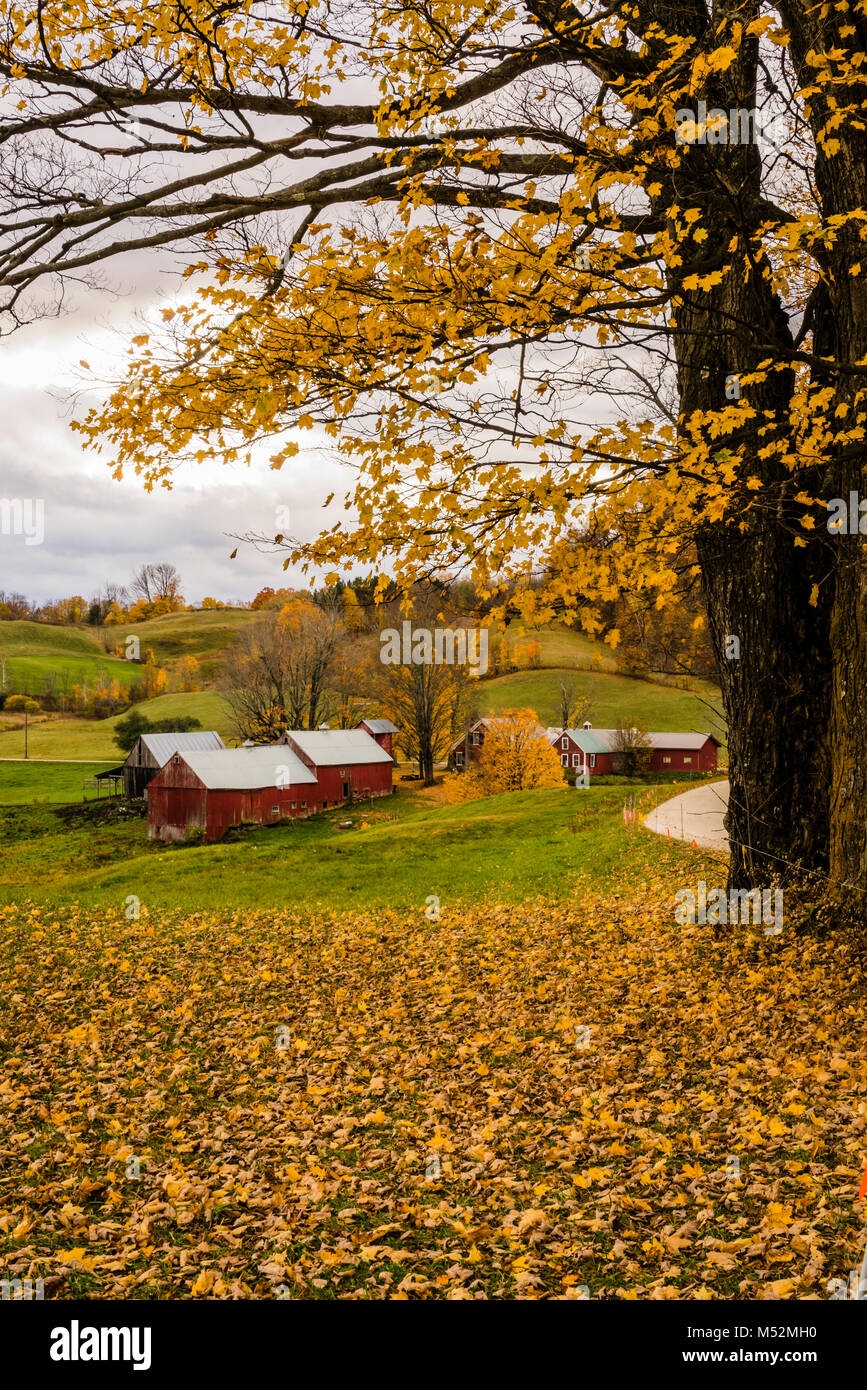 Jenne Farm Reading, Vermont, USA Stock Photo - Alamy