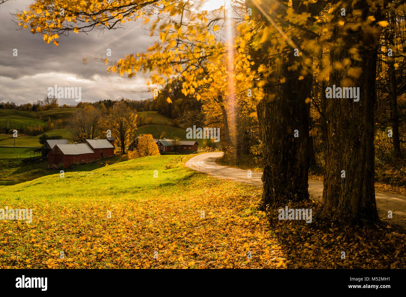 Jenne Farm Reading, Vermont, USA Stock Photo - Alamy
