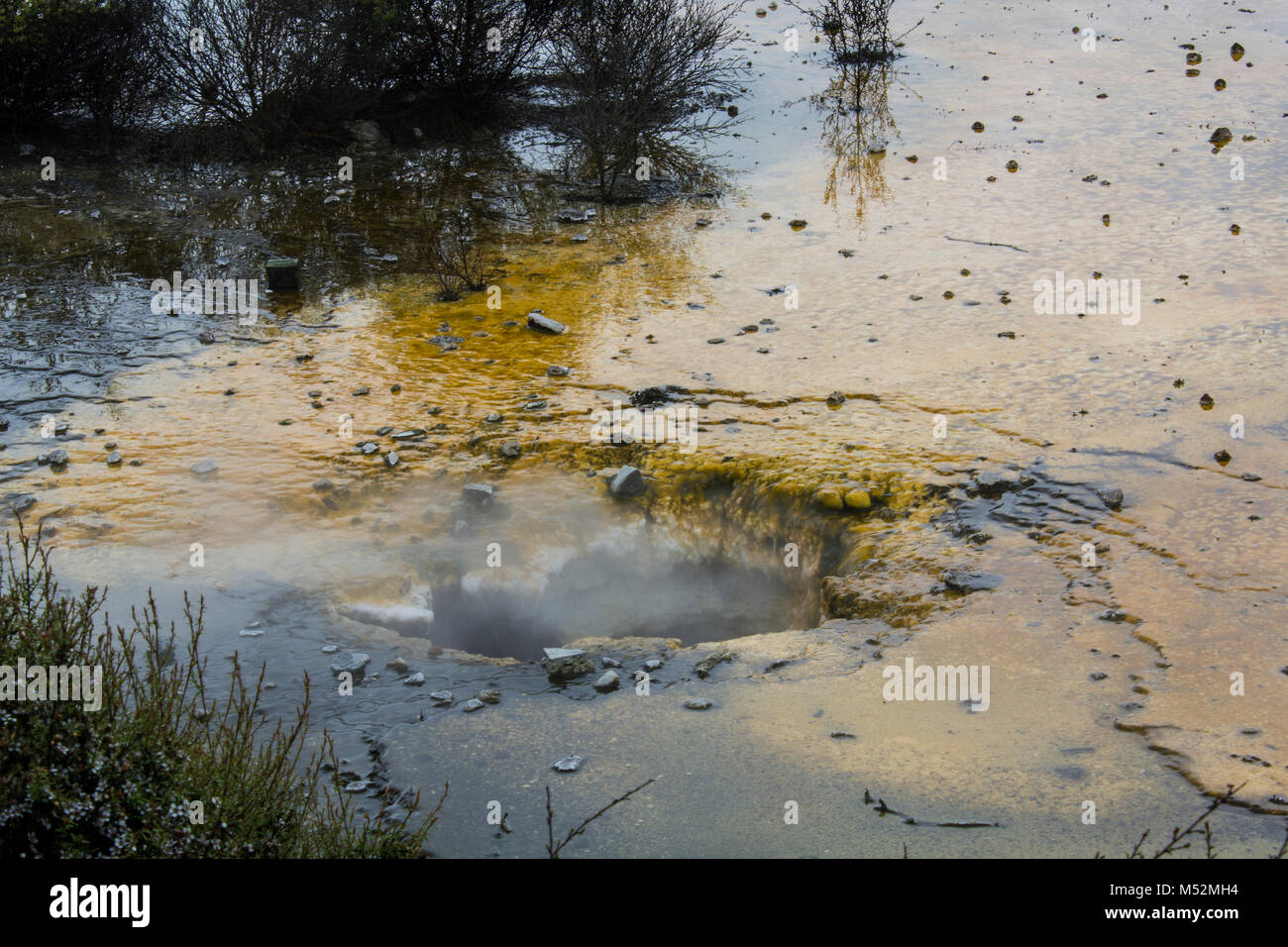 Colorful Geothermal Terrace and steam rising Stock Photo - Alamy