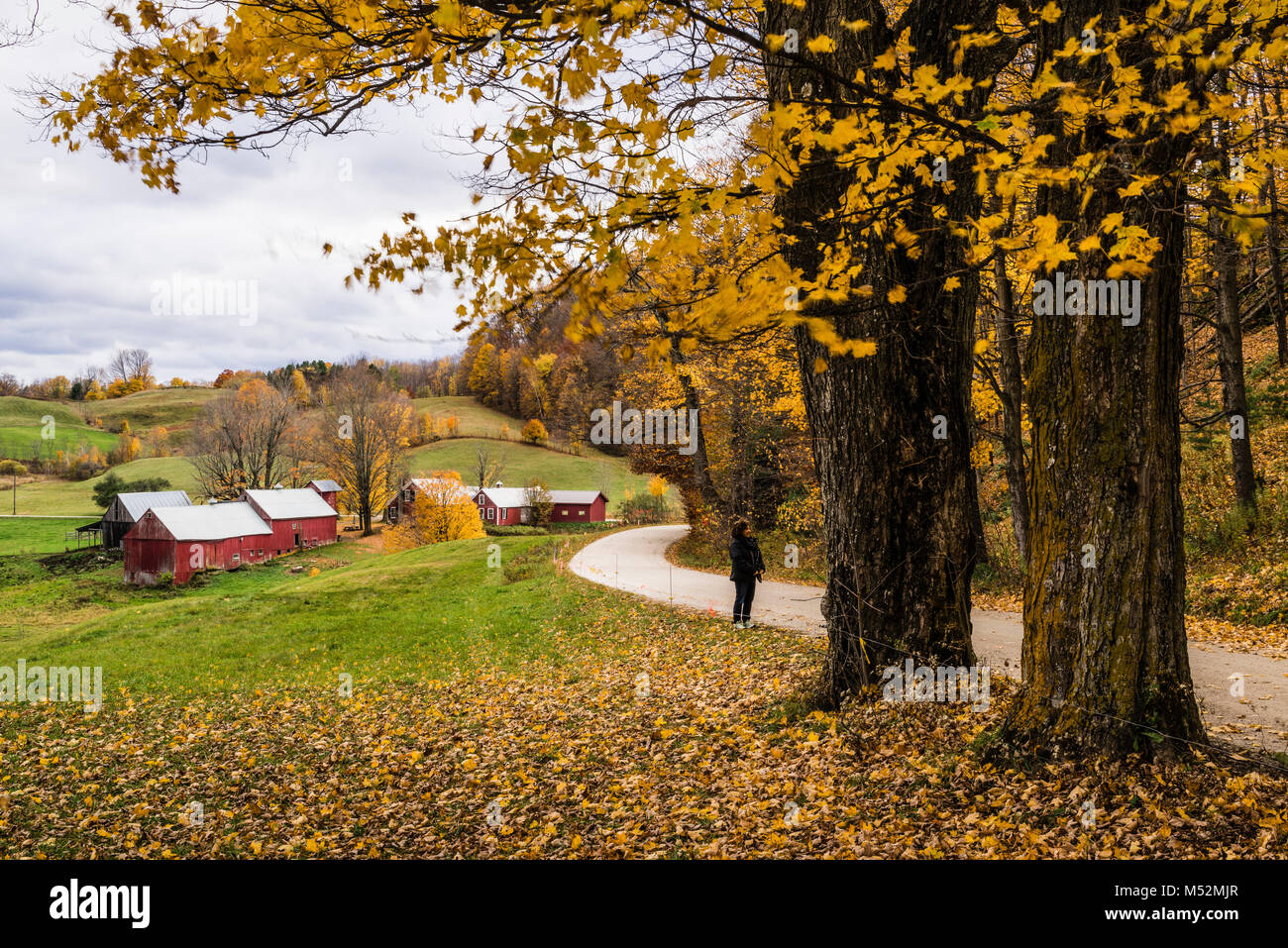 Jenne Farm Reading, Vermont, USA Stock Photo - Alamy