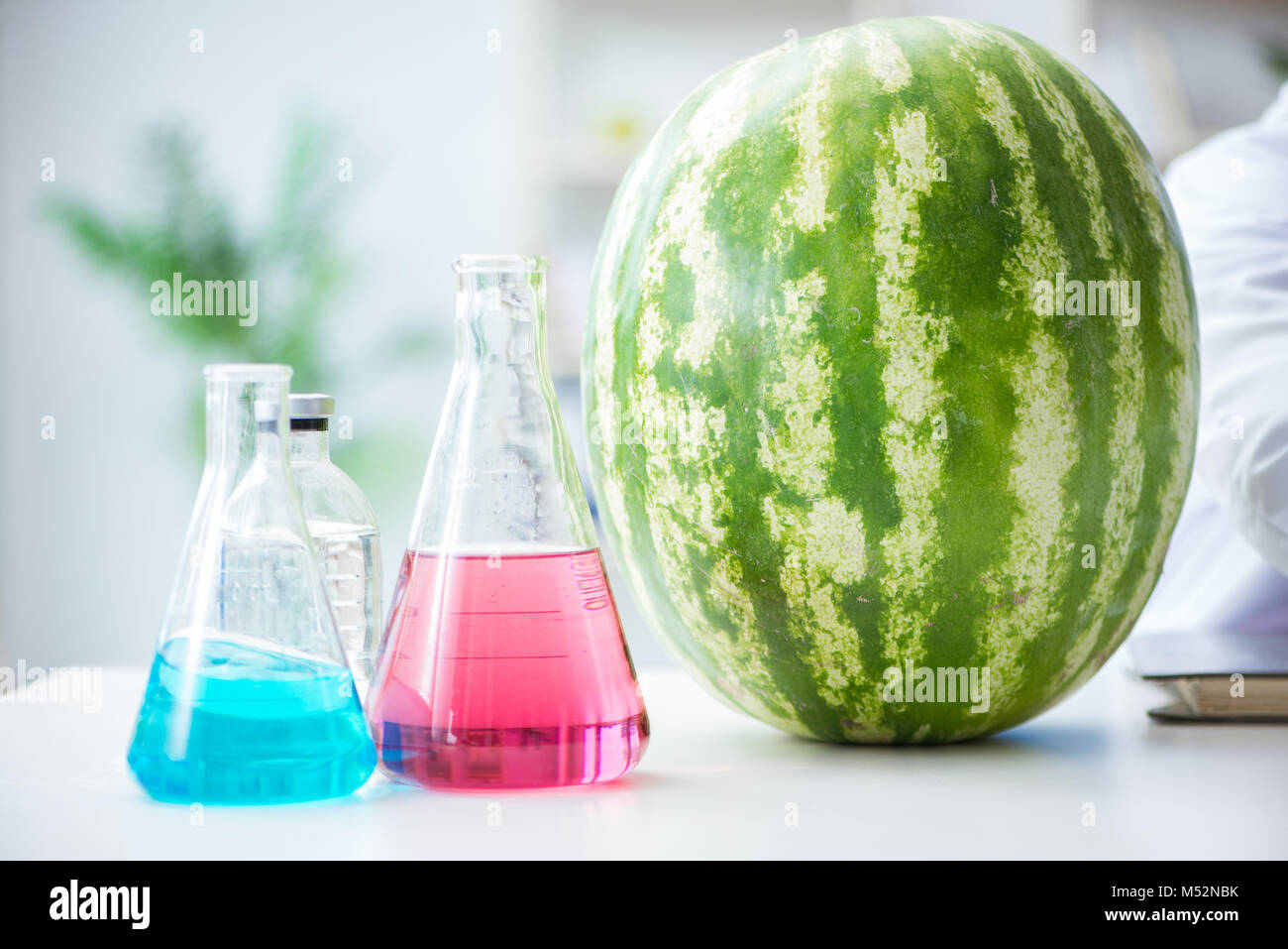 Scientist testing watermelon in lab Stock Photo - Alamy
