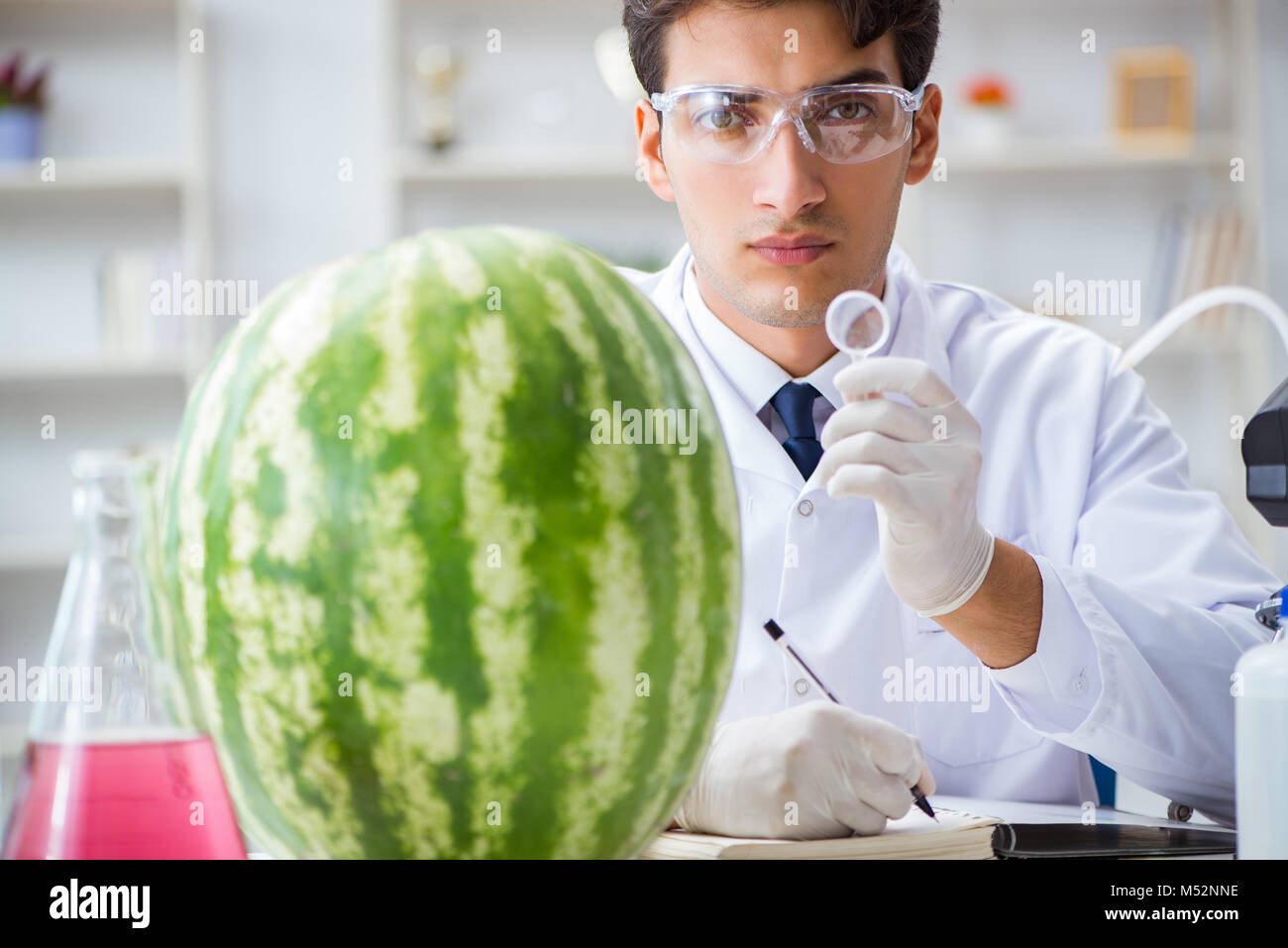Scientist testing watermelon in lab Stock Photo - Alamy