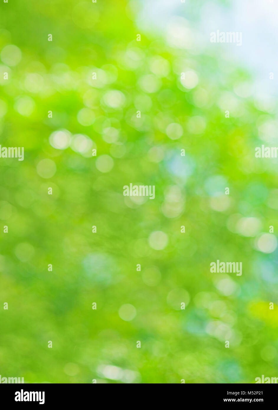 Beautiful natural bokeh Stock Photo - Alamy