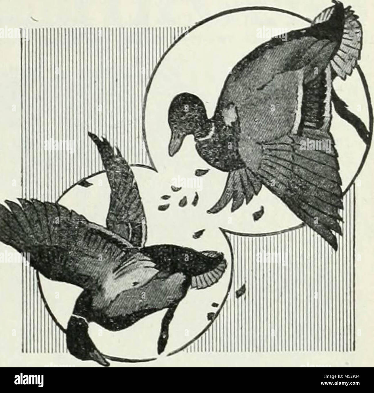 "Rod and gun" (1898 Stock Photo - Alamy