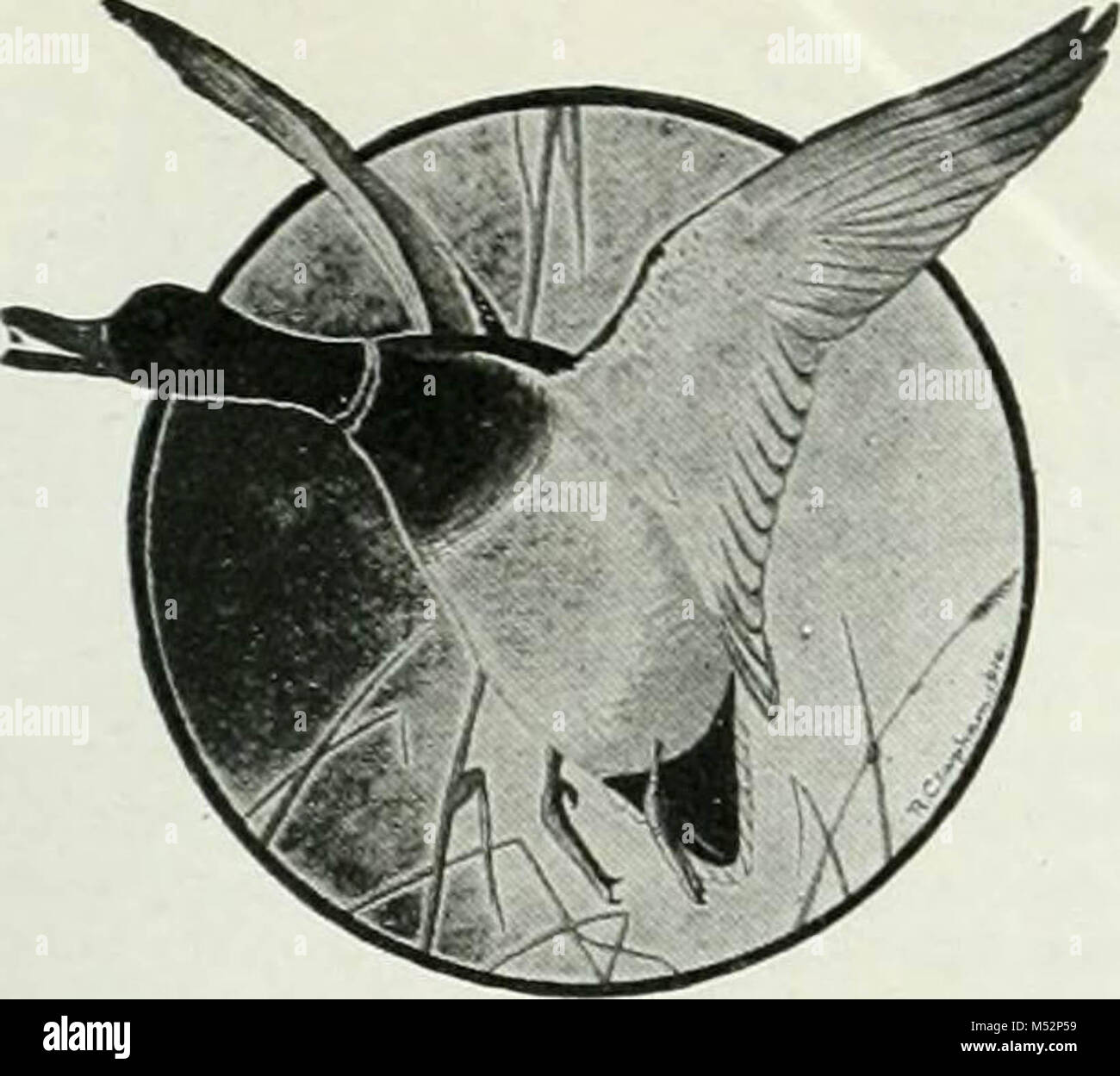 "Rod and gun" (1898 Stock Photo - Alamy