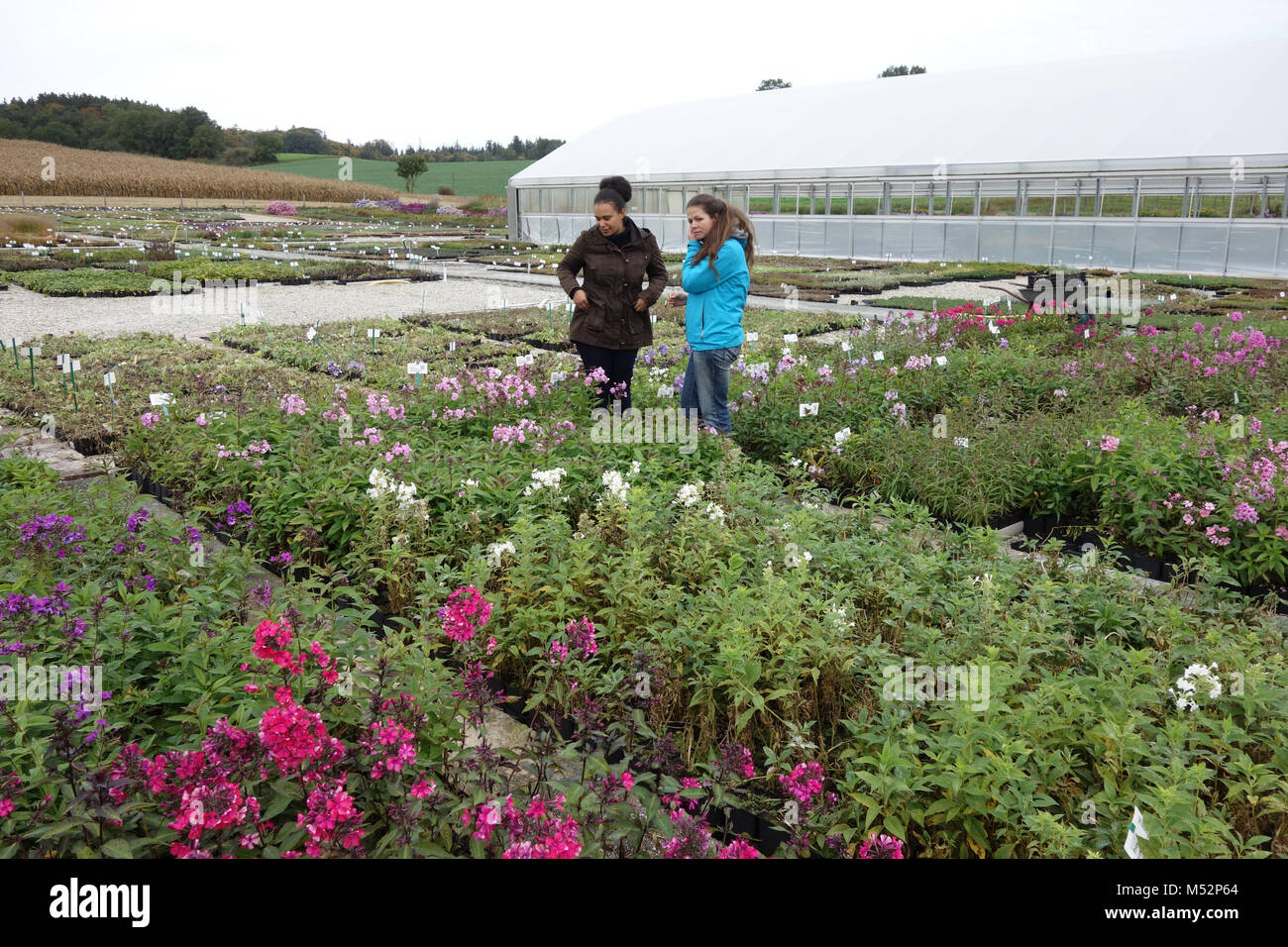 What Is Nursery Stock at Sophia Iliffe blog