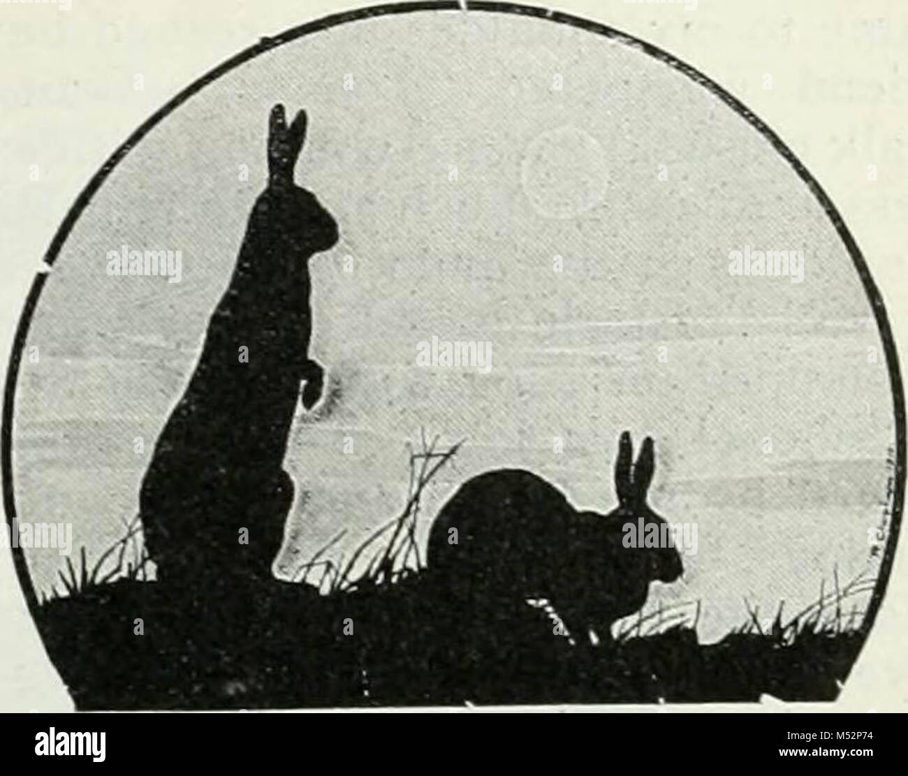 "Rod and gun" (1898 Stock Photo - Alamy