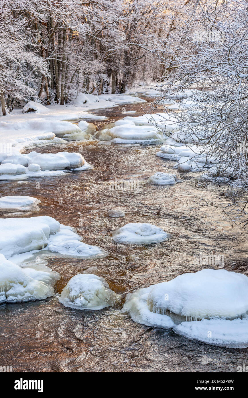 Branch in ice of river with snow in forest hi-res stock photography and ...