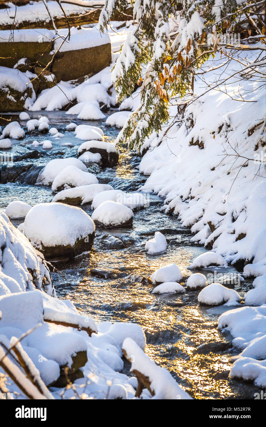 Winter stream in forest morning sunrise spring time Stock Photo - Alamy