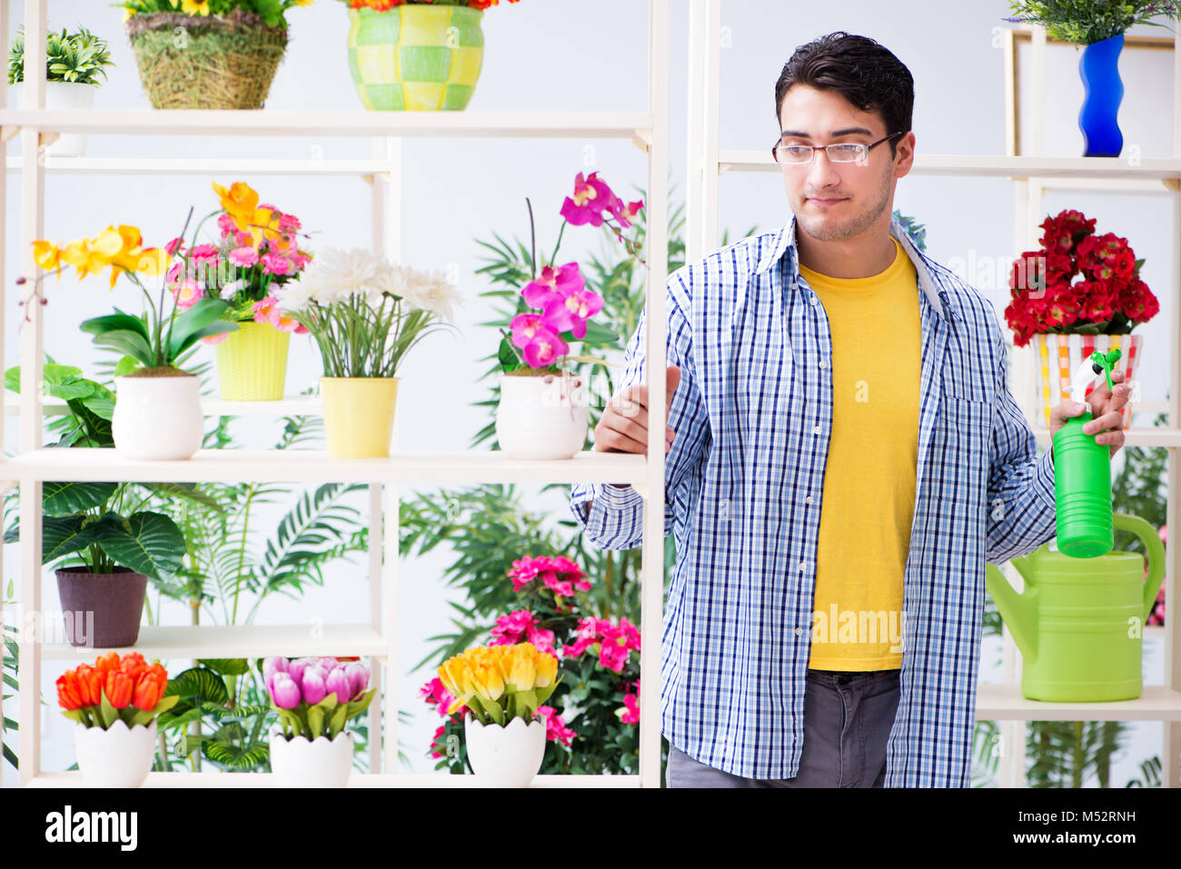 Gardener florist working in a flower shop with house plants Stock Photo ...