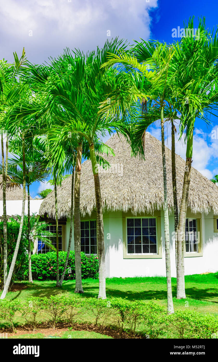 Palm leaf thatched roof hi-res stock photography and images - Alamy