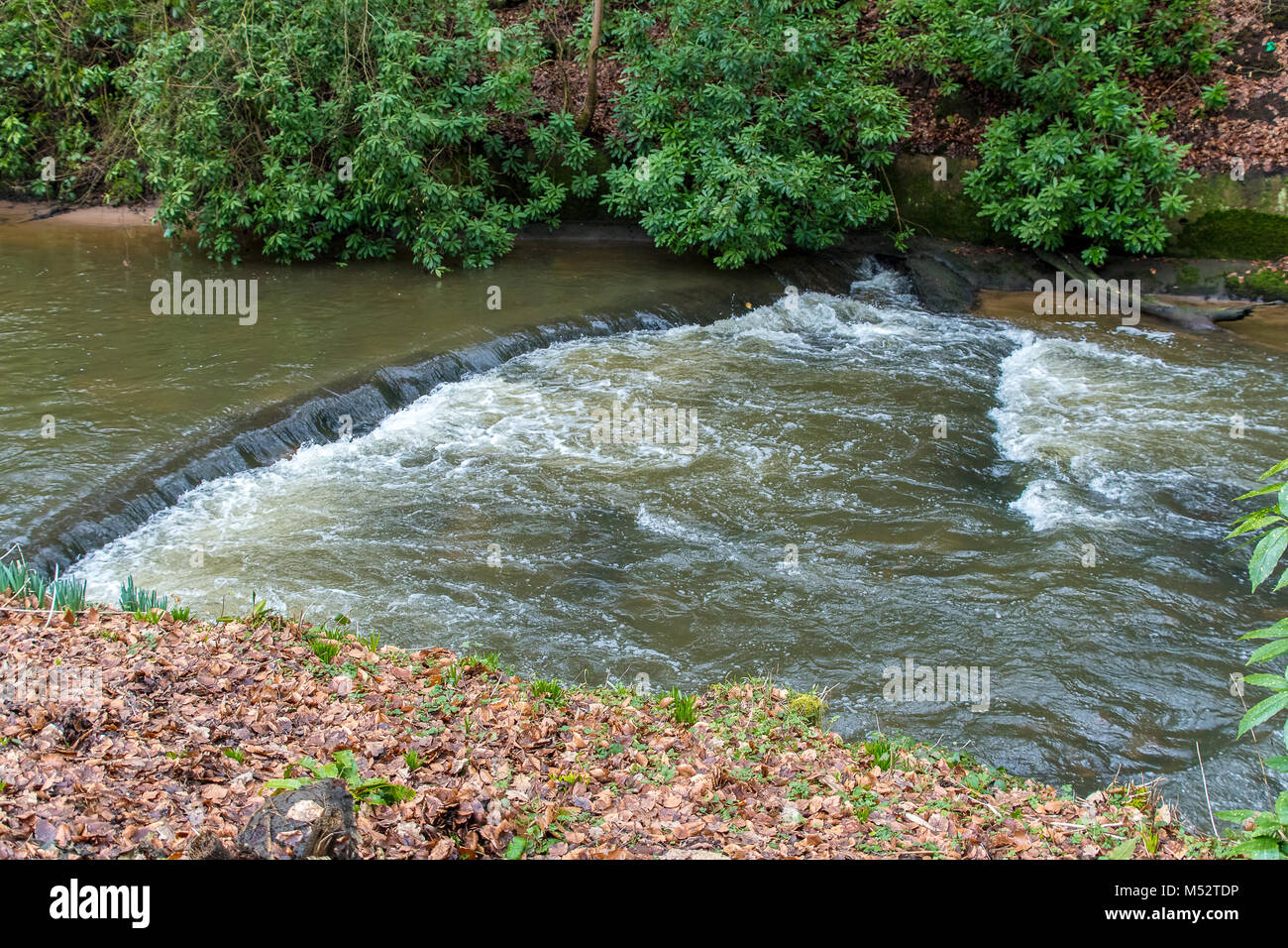Water flowing over a shallow waterfall in a river Stock Photo - Alamy