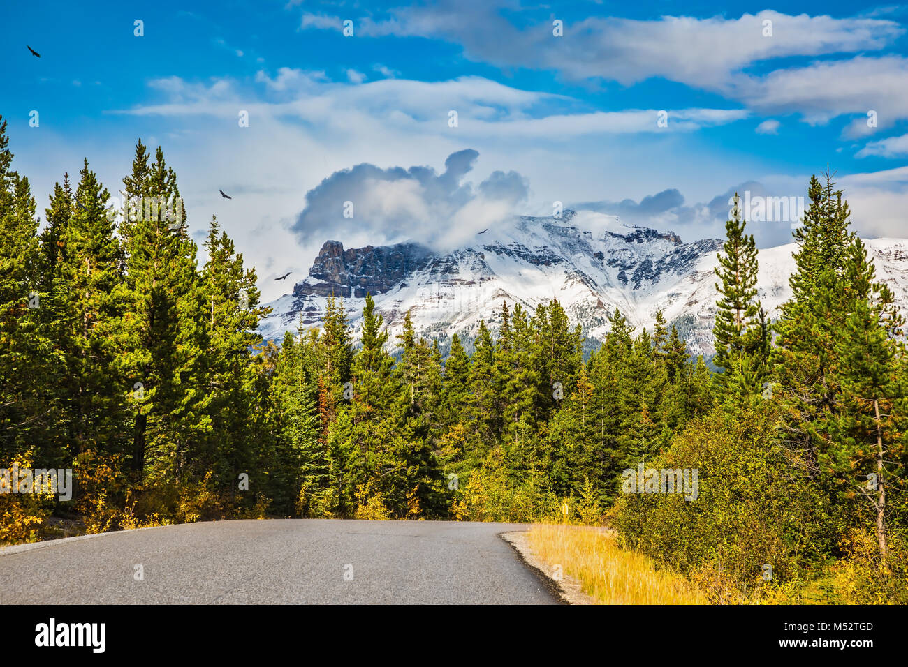 Canadian wilderness in autumn hi-res stock photography and images - Alamy