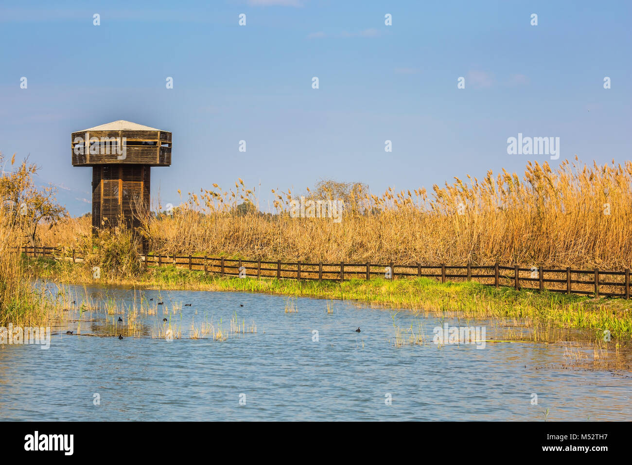 Wooden tower for bird watching Stock Photo - Alamy