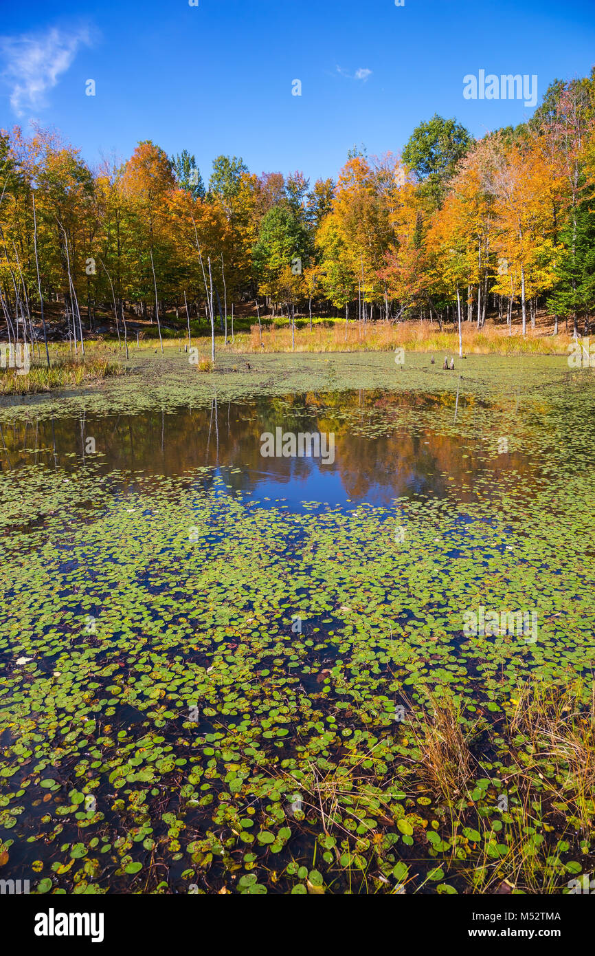 Sunny October in French Canada Stock Photo - Alamy