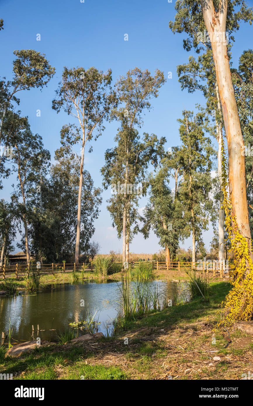 Hula reserve israel hi-res stock photography and images - Alamy