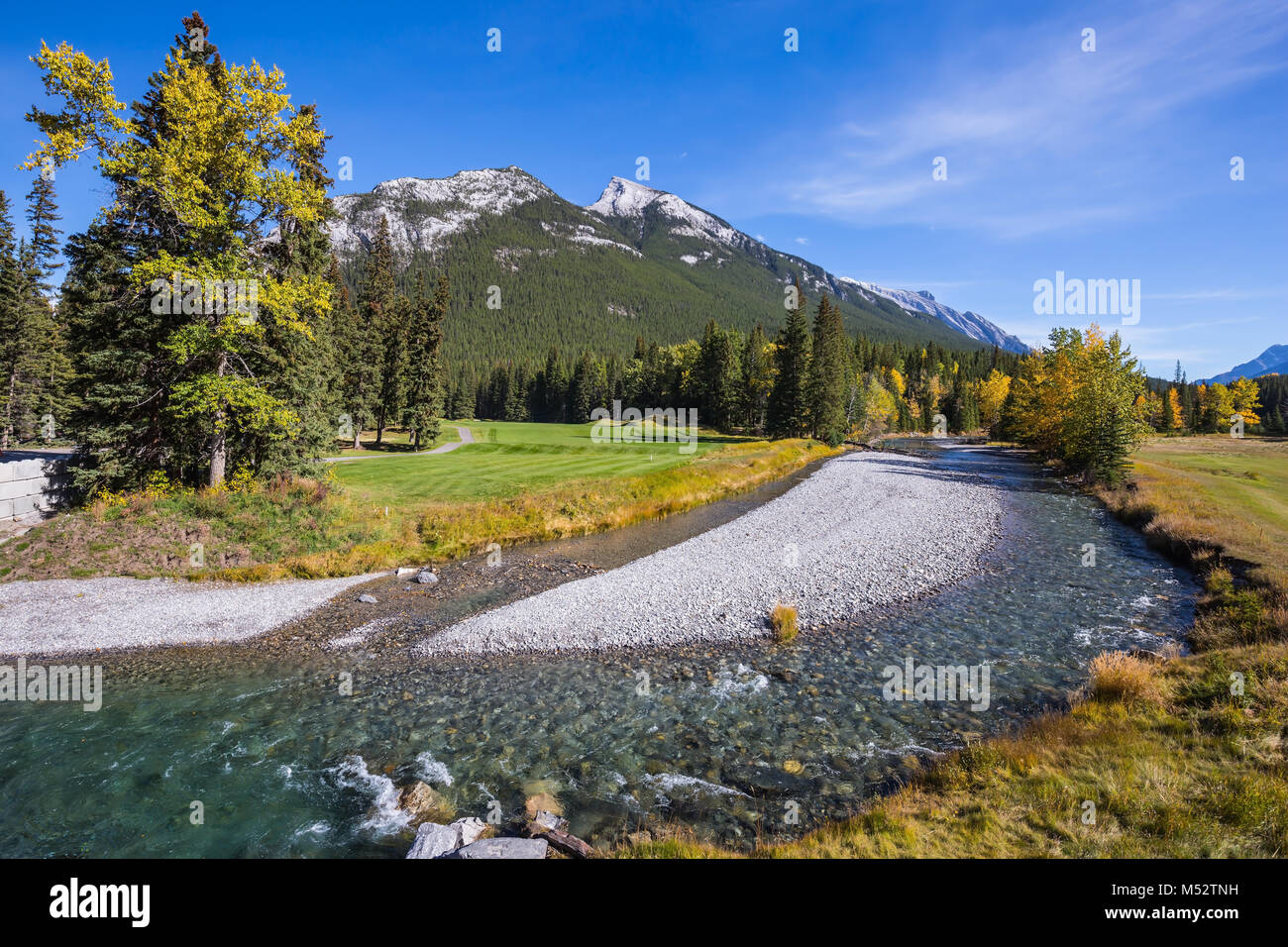 An autumn day in woodland hi-res stock photography and images - Alamy