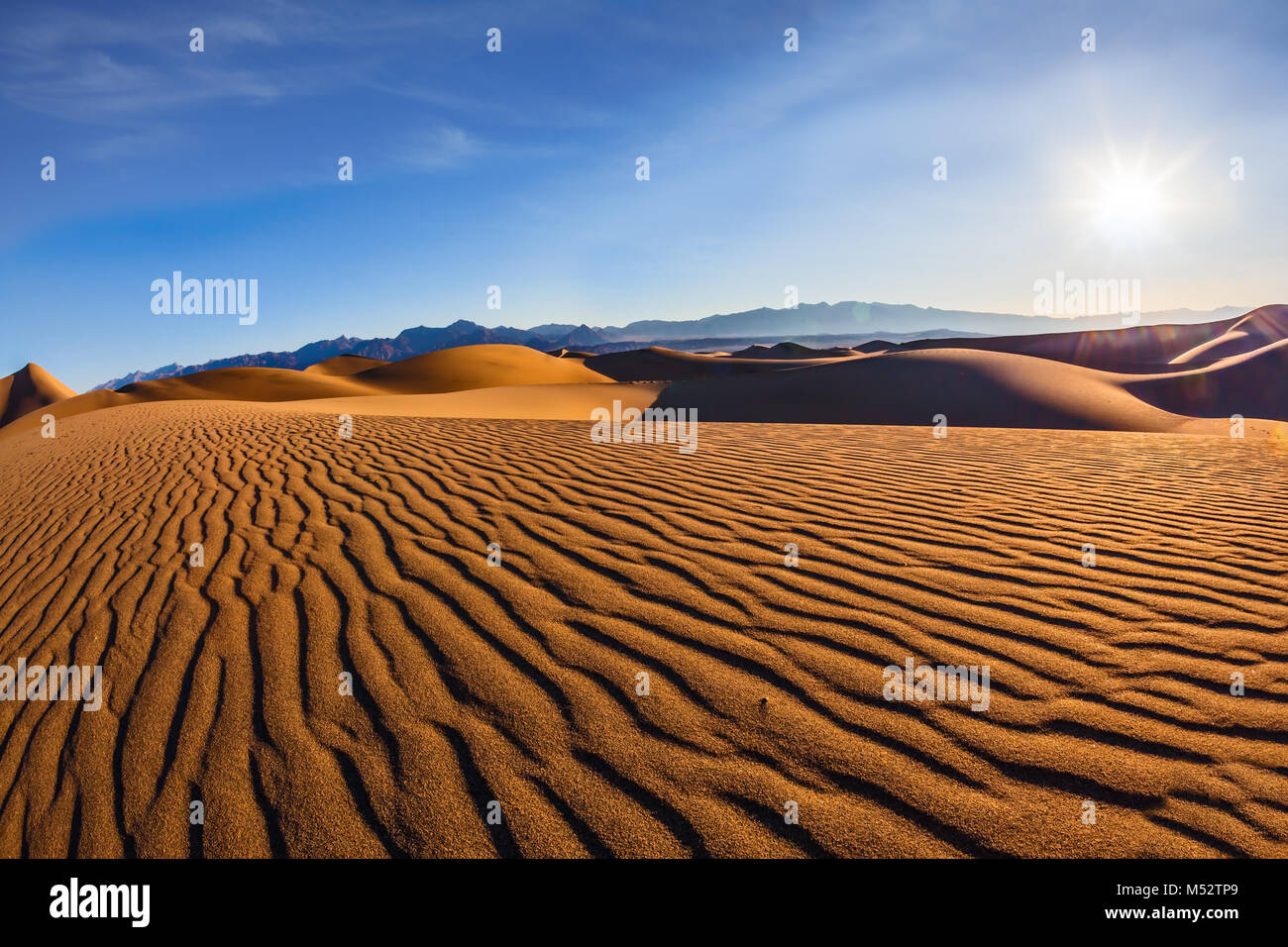 Sandy waves on dunes Stock Photo - Alamy