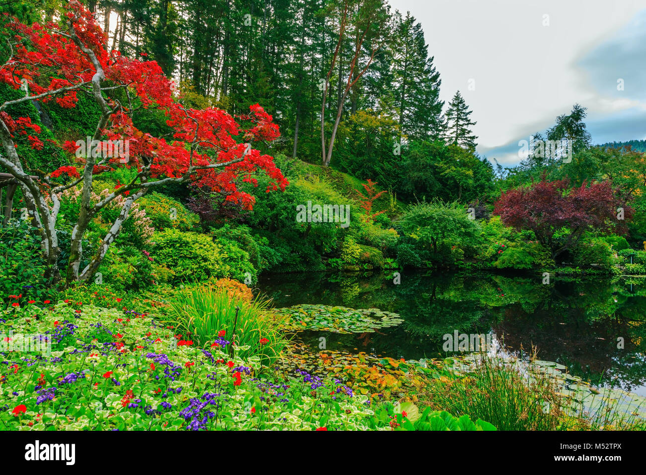 Pond with trees hi-res stock photography and images - Alamy