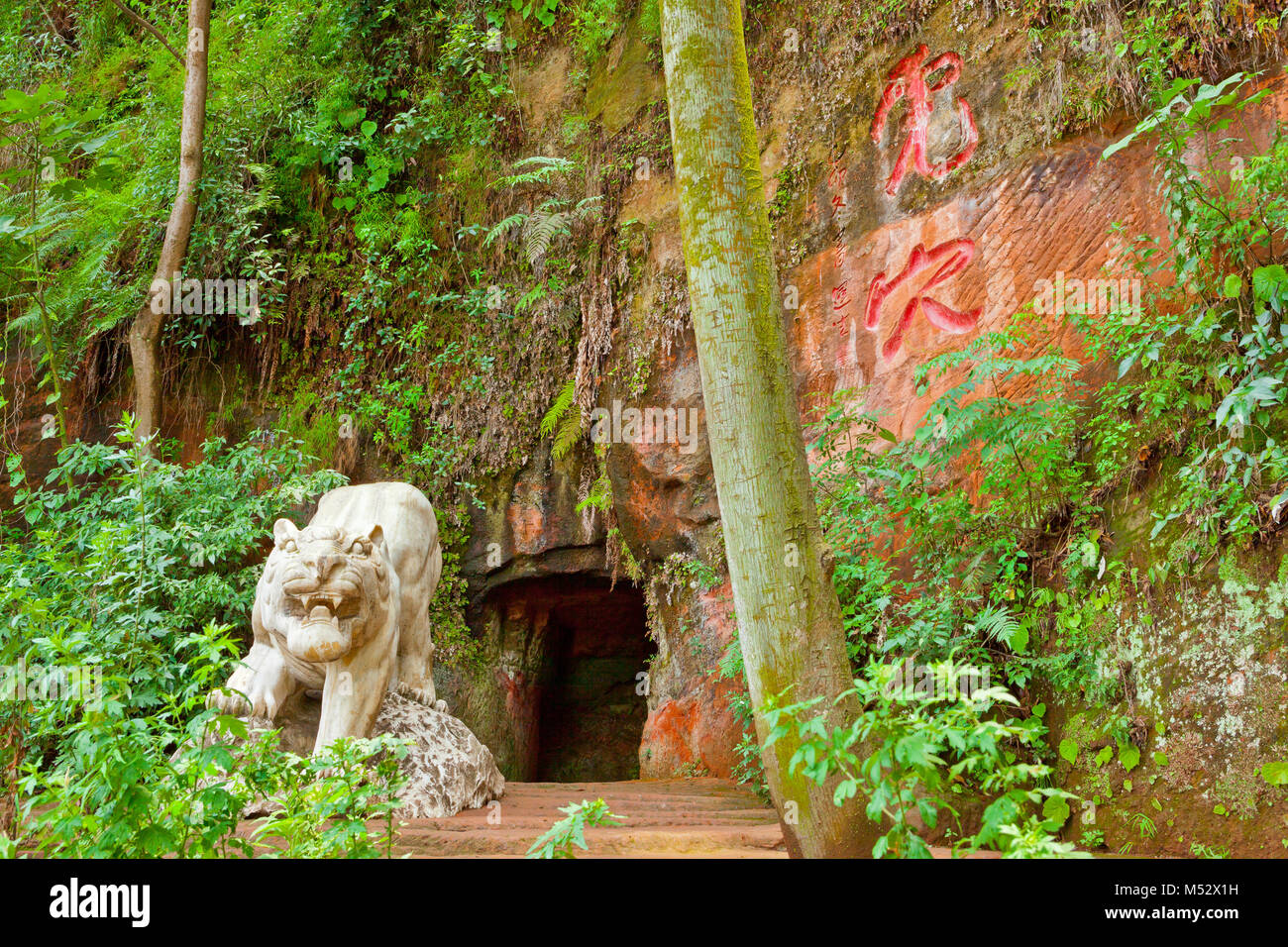Tiger in cave hi-res stock photography and images - Alamy