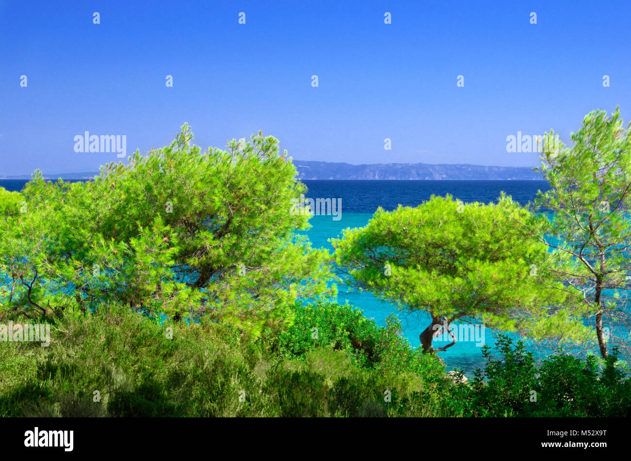 Blue sea shore under clear sky Stock Photo - Alamy
