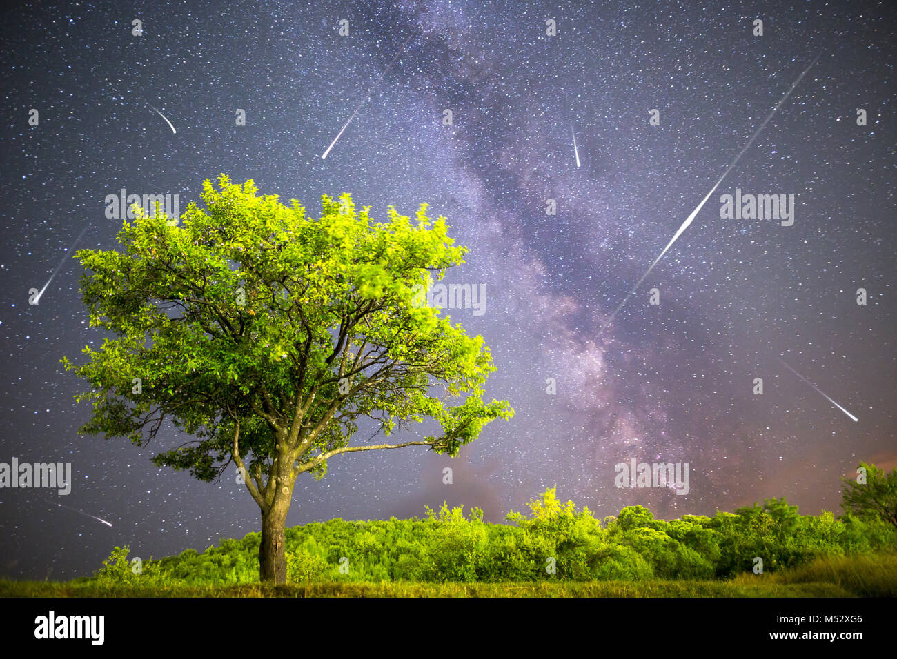 Green tree Milky way night sky falling stars Stock Photo - Alamy