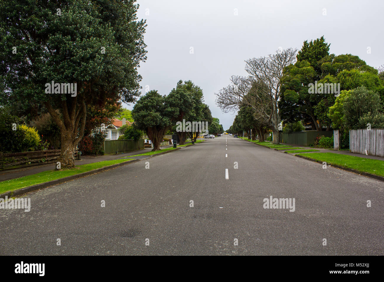 Straigh road with trees surrounding Stock Photo - Alamy