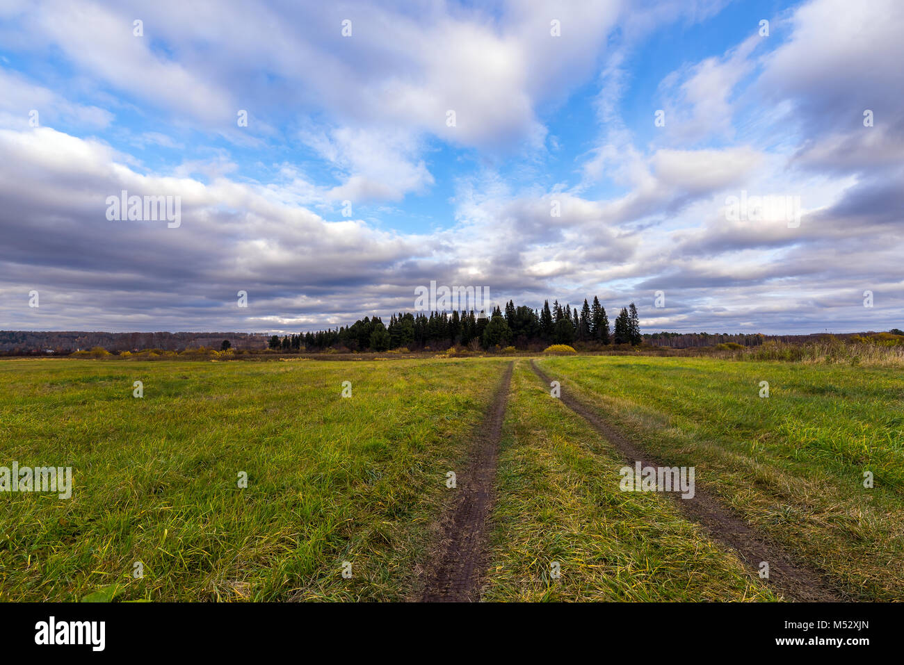 Leading the field hi-res stock photography and images - Alamy