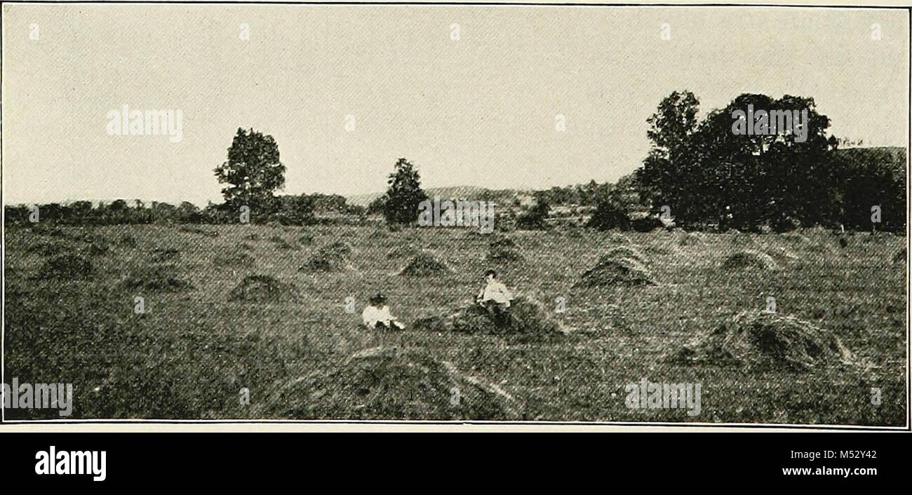"New geographies" (1910 Stock Photo - Alamy