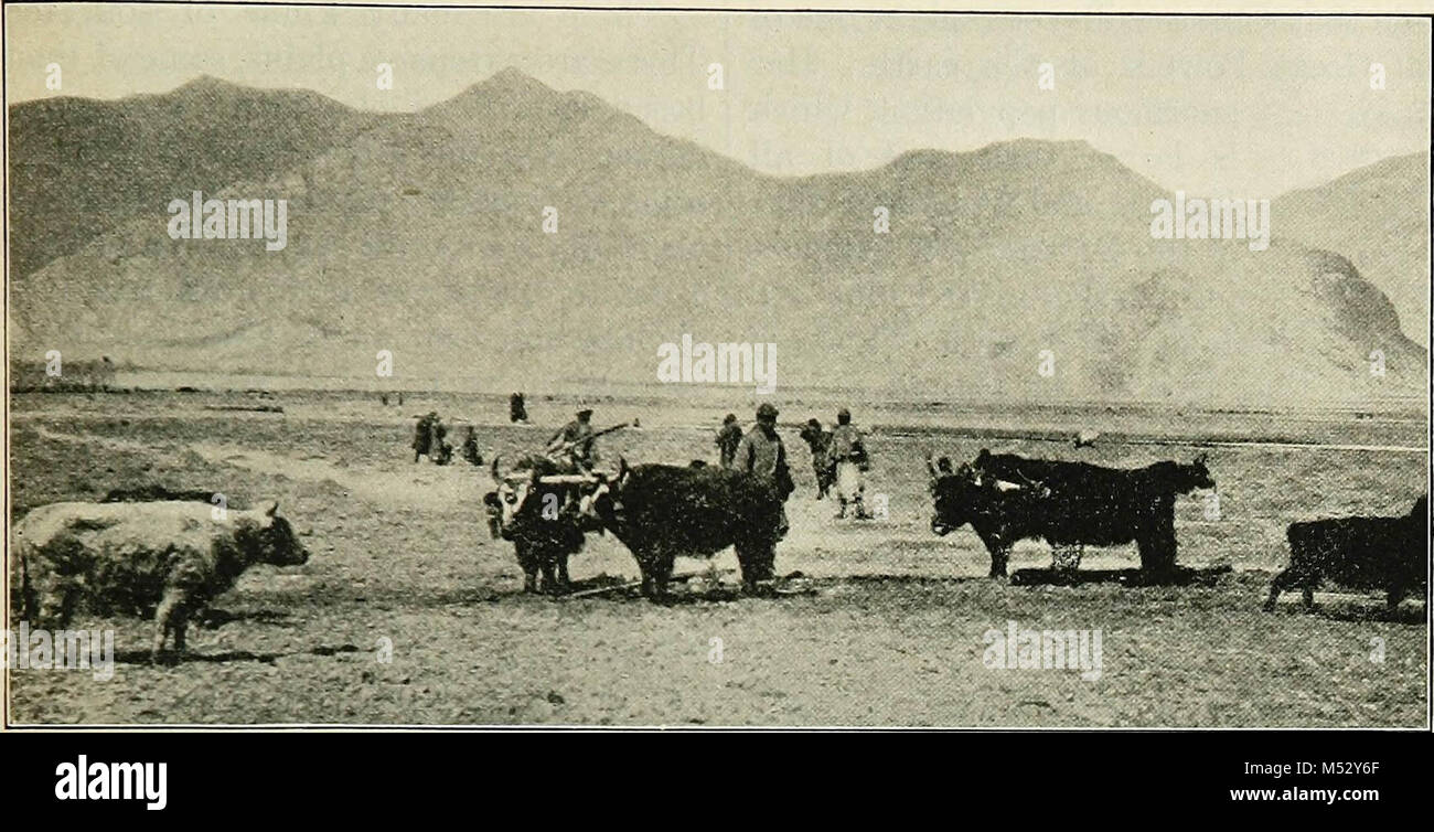 "New geographies" (1910 Stock Photo - Alamy