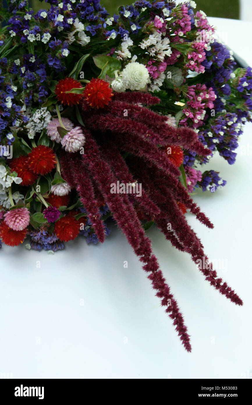 Mixed buds hi-res stock photography and images - Alamy