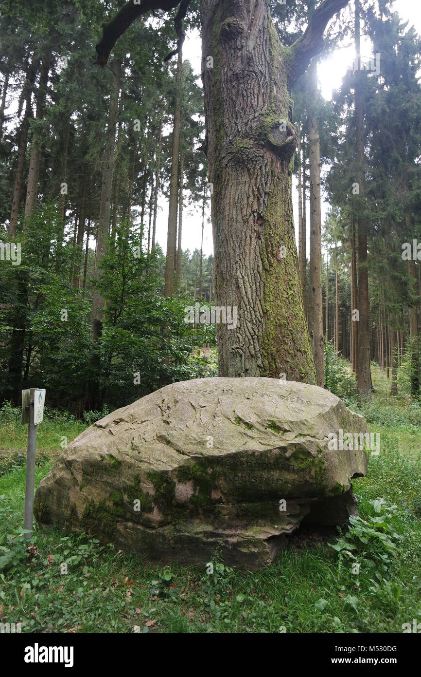 Stone in the forest Stock Photo - Alamy