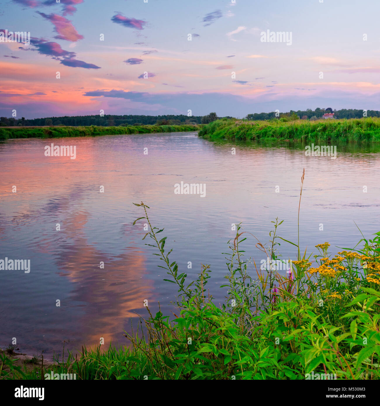 The Warta polish river Stock Photo - Alamy