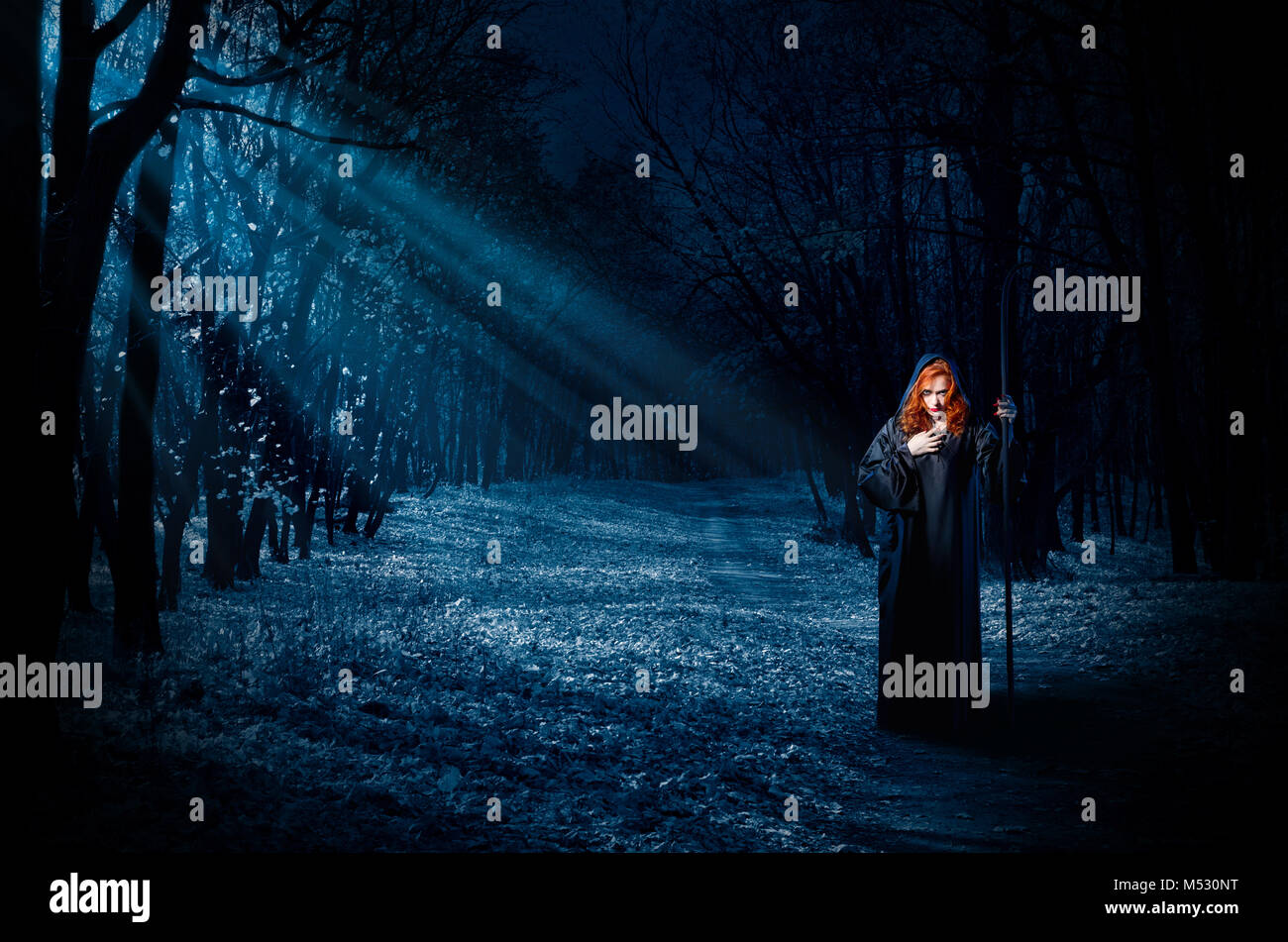 Night moonlight trees hi-res stock photography and images - Alamy