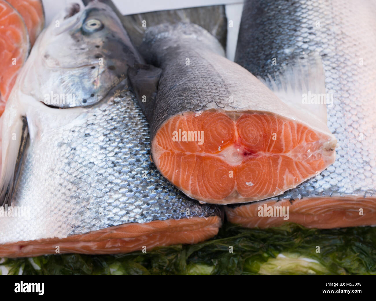 Iso fishes hi-res stock photography and images - Alamy