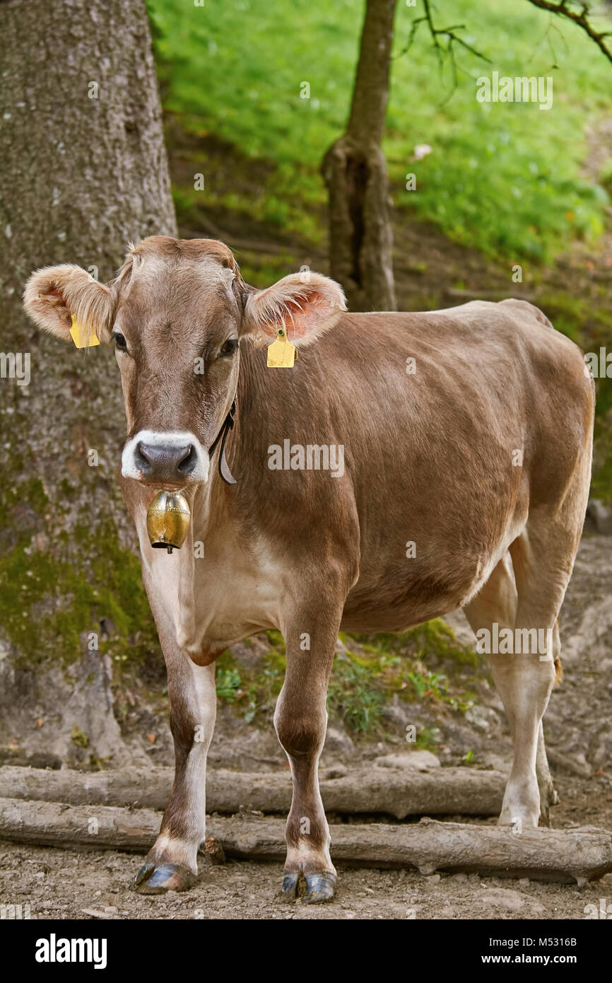 Go farming hi-res stock photography and images - Alamy