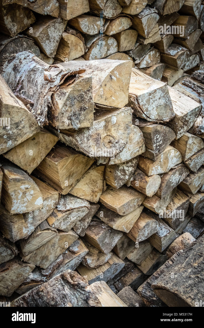 Firewood stacked in huge piles in hothouse Stock Photo - Alamy