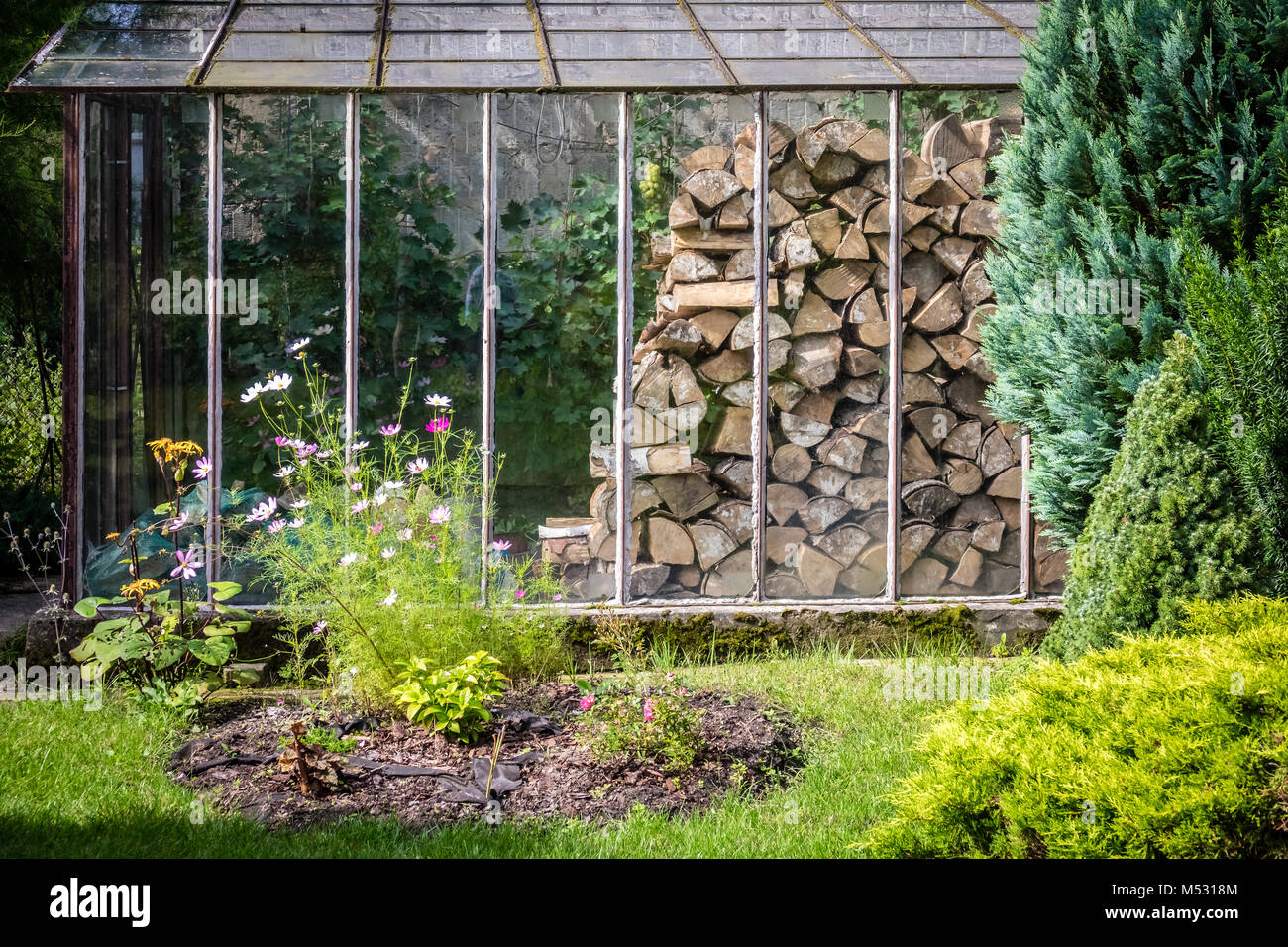 Firewood stacked in huge piles in hothouse Stock Photo - Alamy