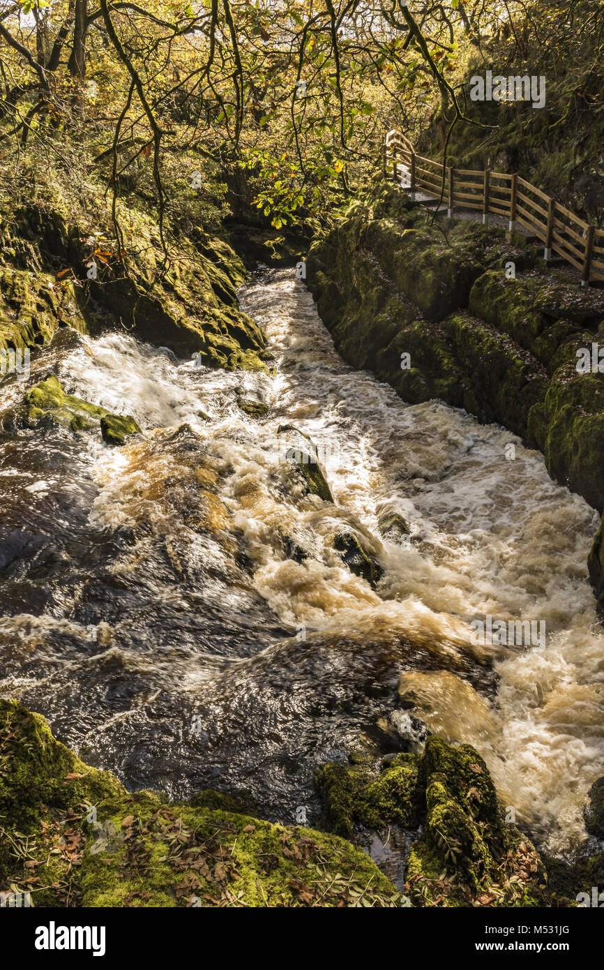 UK - Yorkshire Dales - Ingleton Falls Stock Photo - Alamy