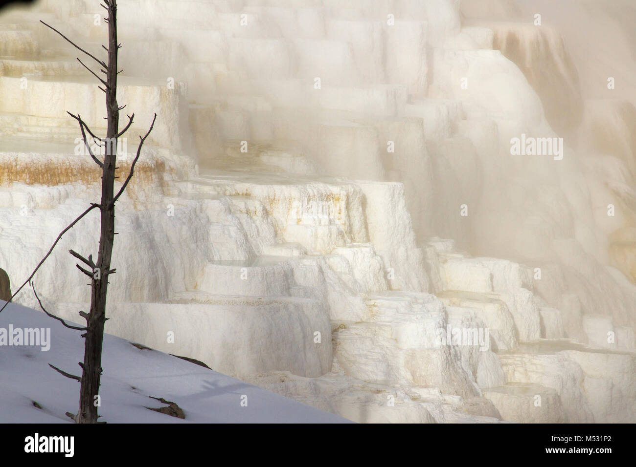 Limestone formations with steaming hot springs on terraces at Mammoth ...