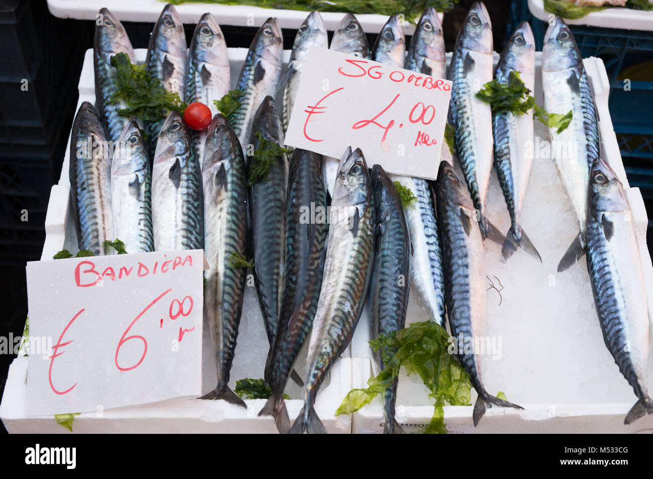 Frostfish hi-res stock photography and images - Alamy
