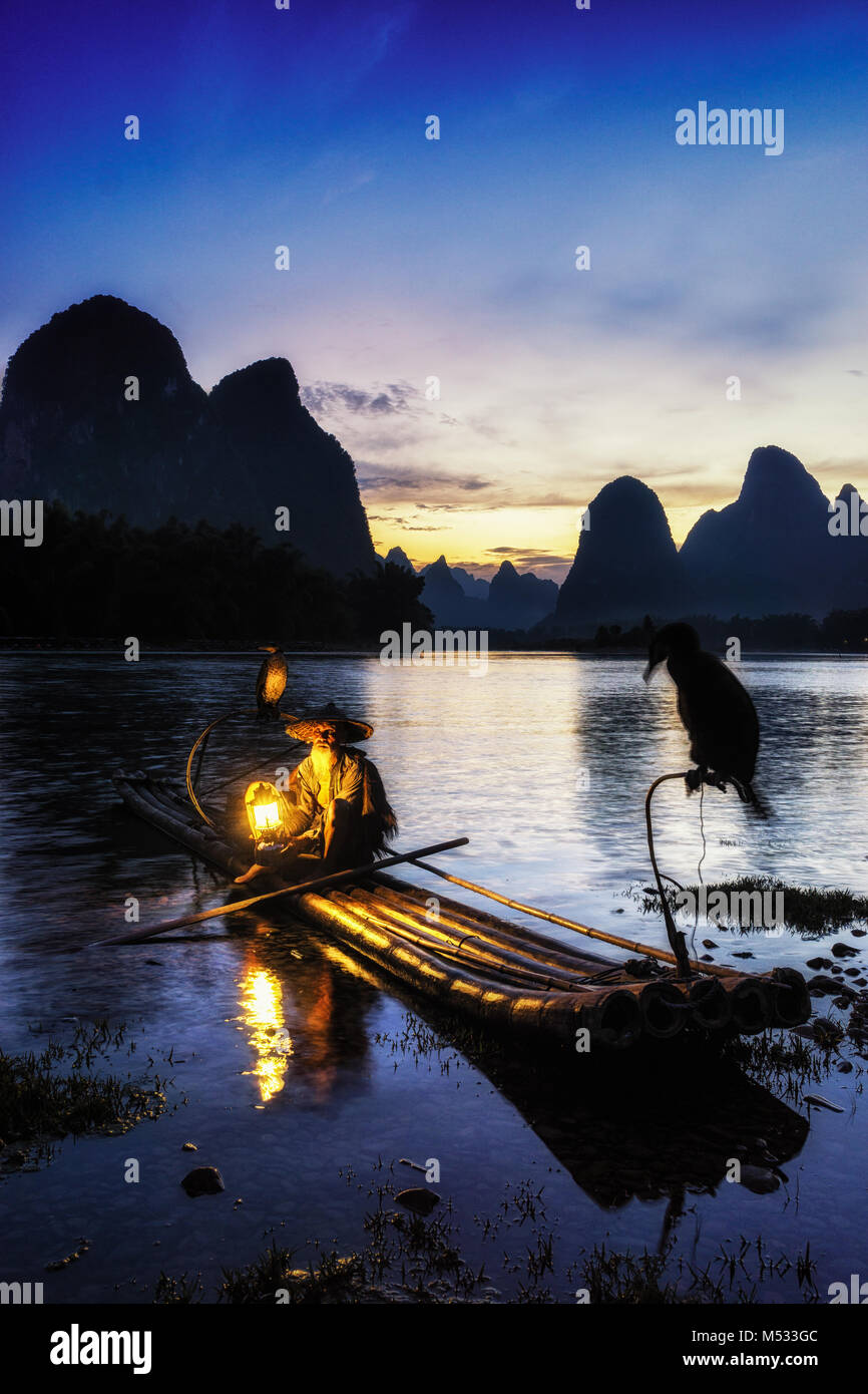The cormant fisherman in li river Stock Photo - Alamy