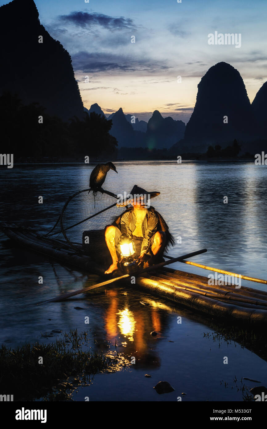 The cormant fisherman in li river Stock Photo - Alamy