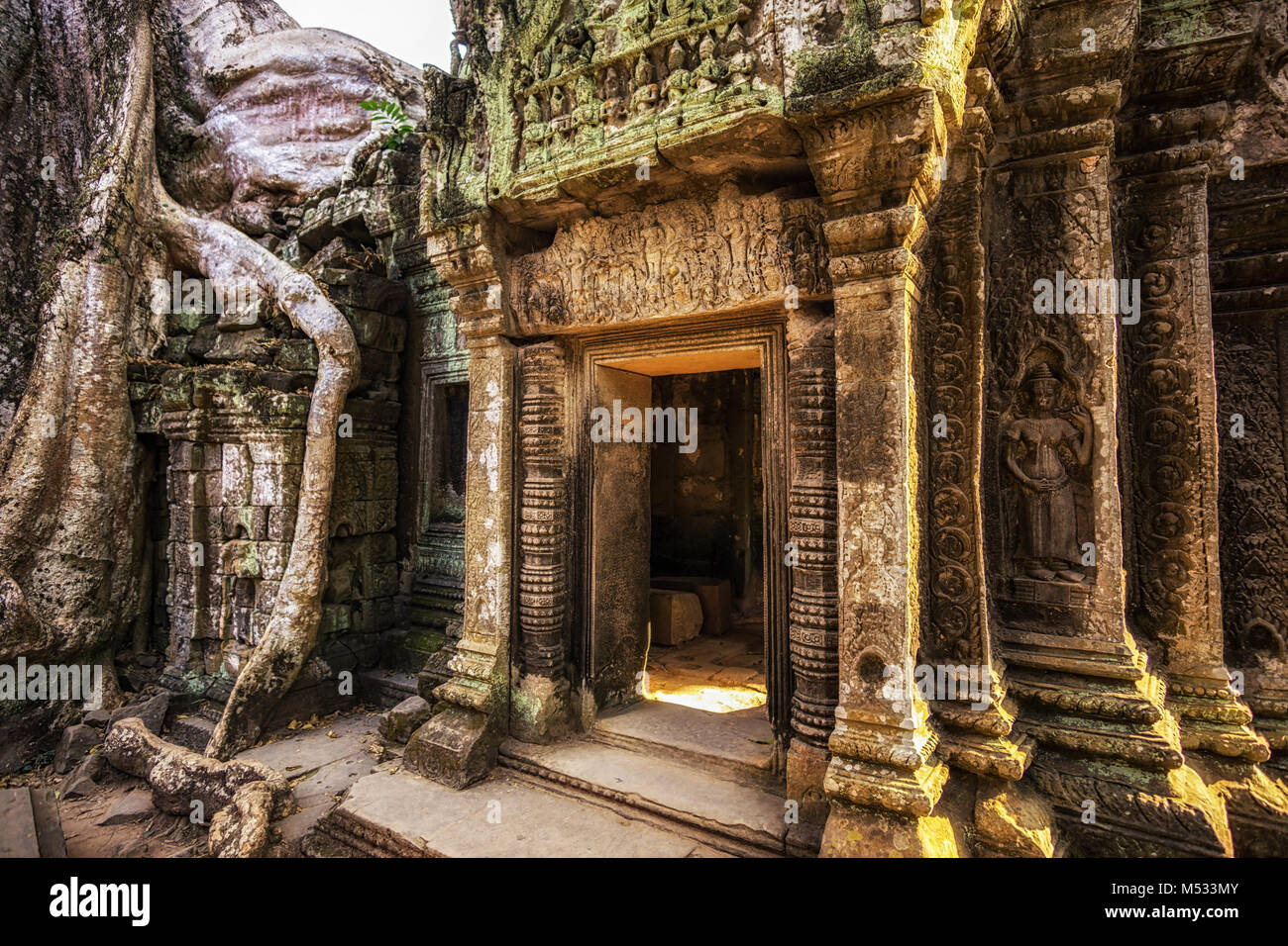 Ta Prohm temple Stock Photo - Alamy